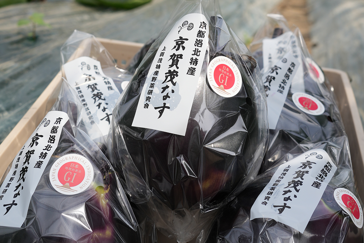 Link ｰ暮らしと農がリンクする 都市農業の今を伝えるJA京都市メディアｰ